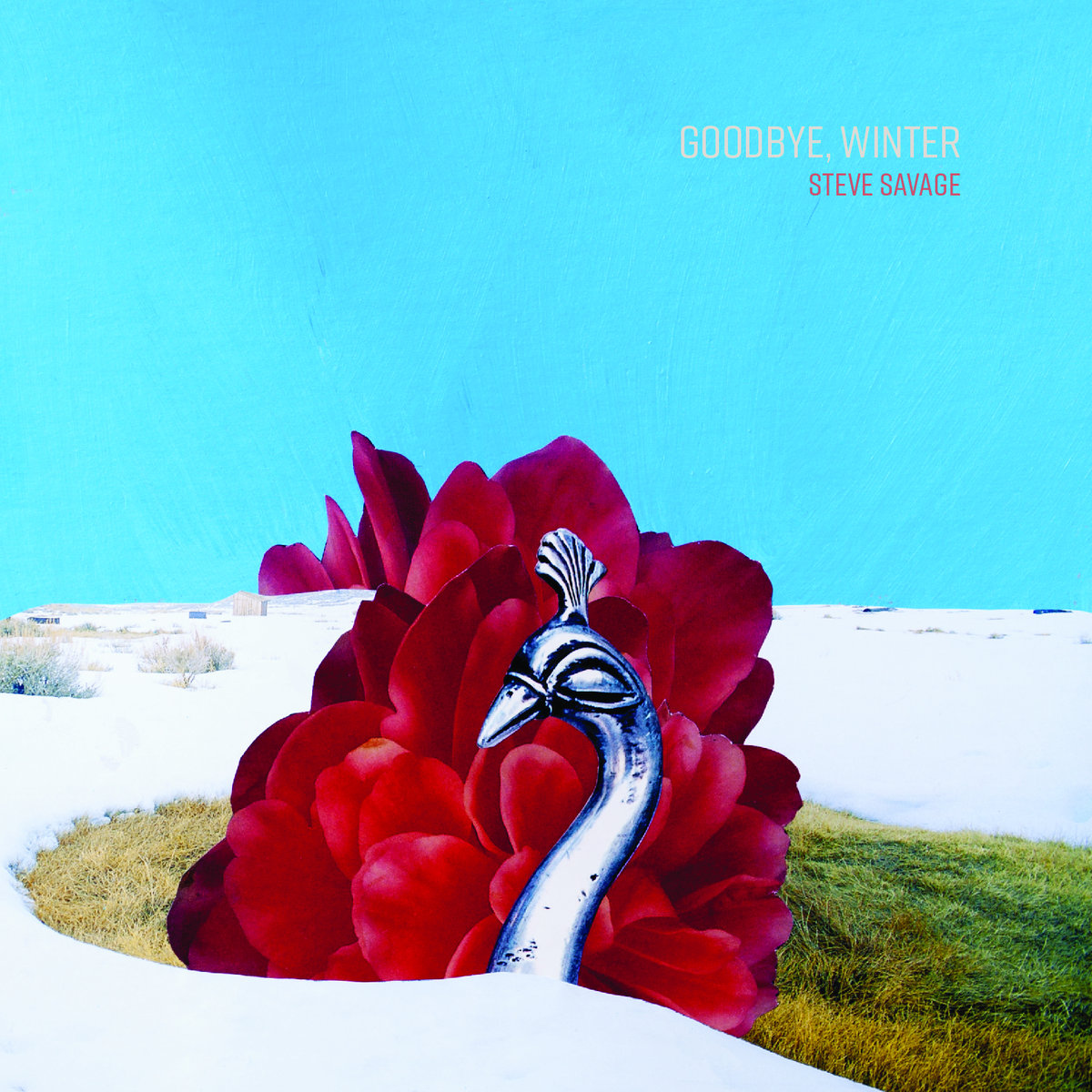 Musik – Steve Savage Music